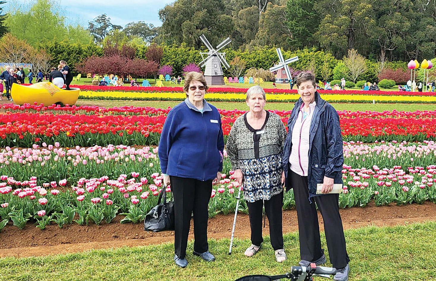 Plenty on at Probus - Traf District News