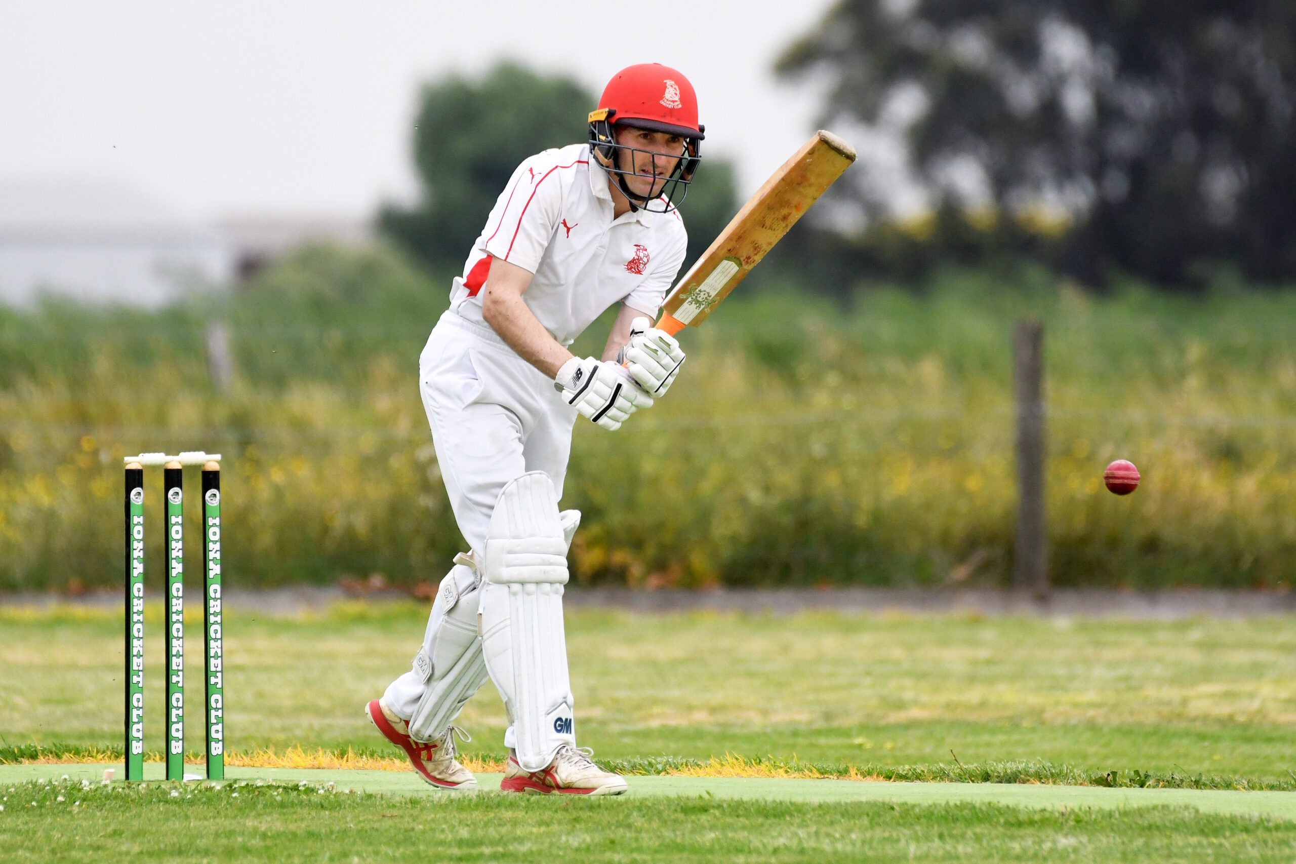 Cricket milestones - Traf District News